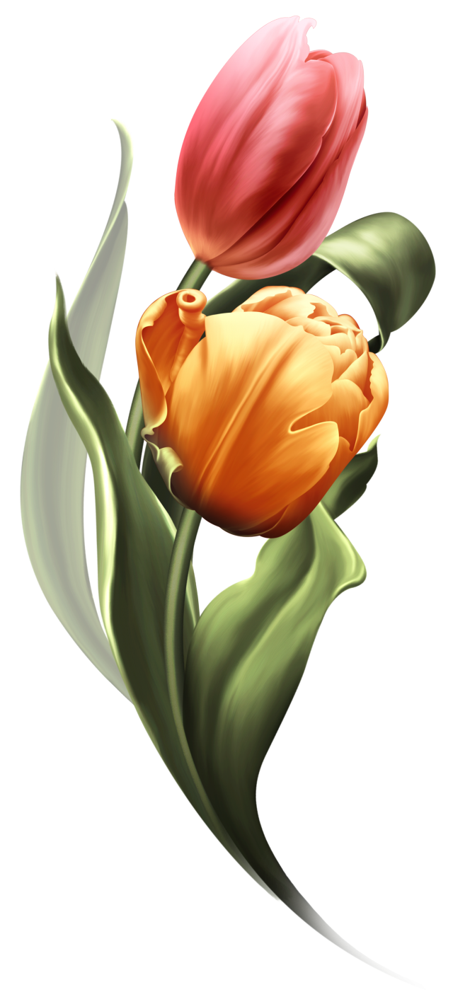 tubes ou gifs fleurs - Page 4